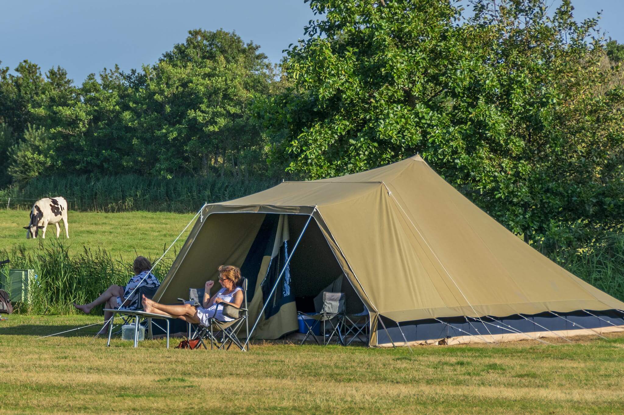 Primakamp tent rental - Campsite De Kooi - Terschelling
